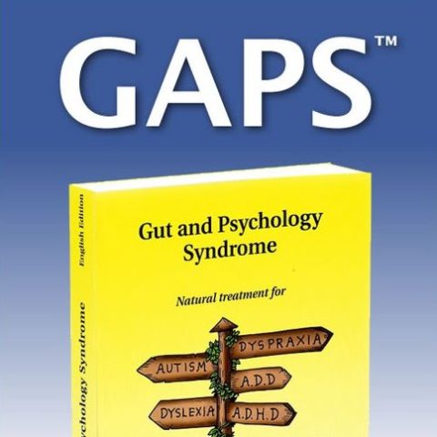 Comparison of 3 Healing Diets - Phoenix Helix