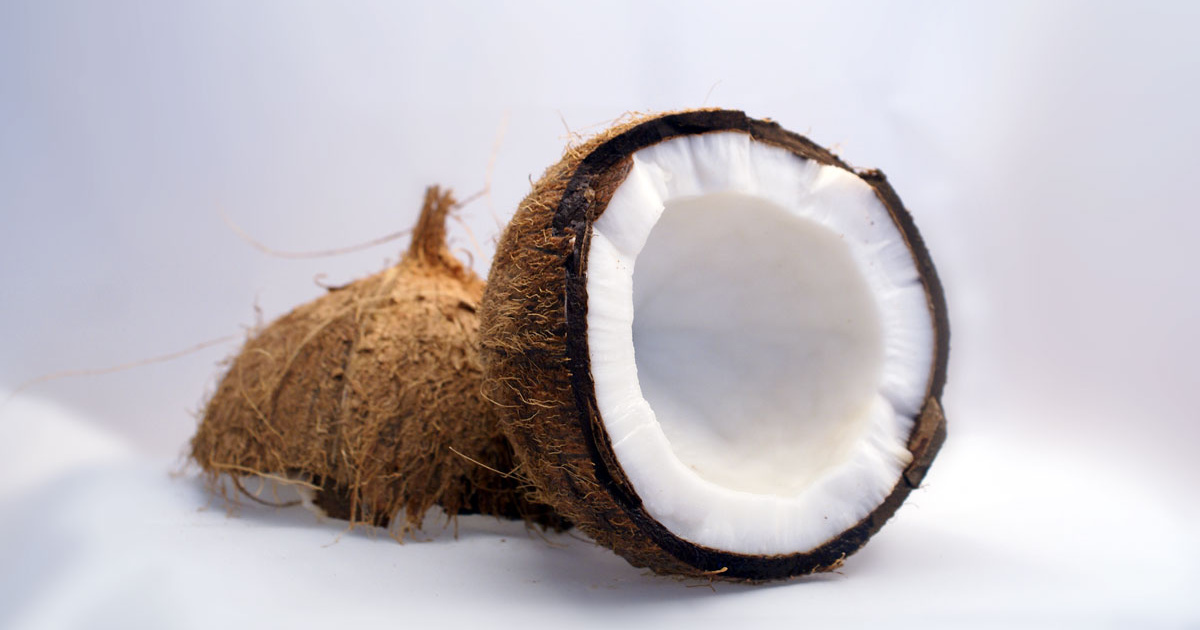 Everything You Ever Wanted to Know About Coconut - Phoenix Helix