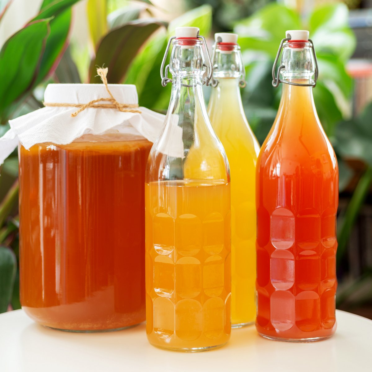 Kombucha Berry Popsicles (Paleo, AIP, GAPS, Wahls) - Phoenix Helix