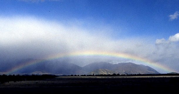 The Difference Between Reversing Autoimmune Disease and a Cure ...