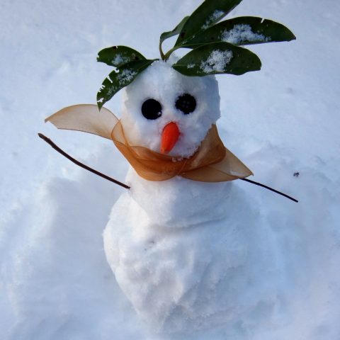 50 Paleo AIP Christmas Cookies & Holiday Treats - Phoenix Helix