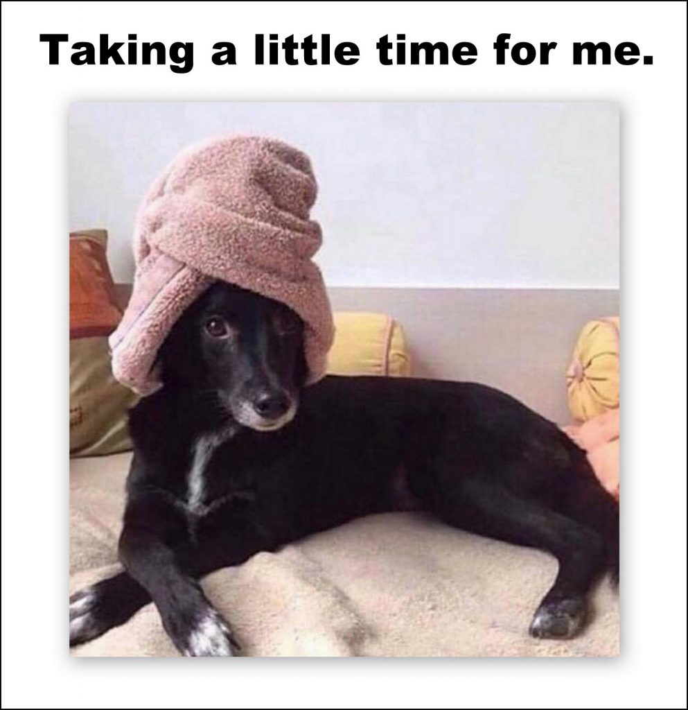 Life on the Paleo Autoimmune Protocol - a Story In Memes - Phoenix Helix