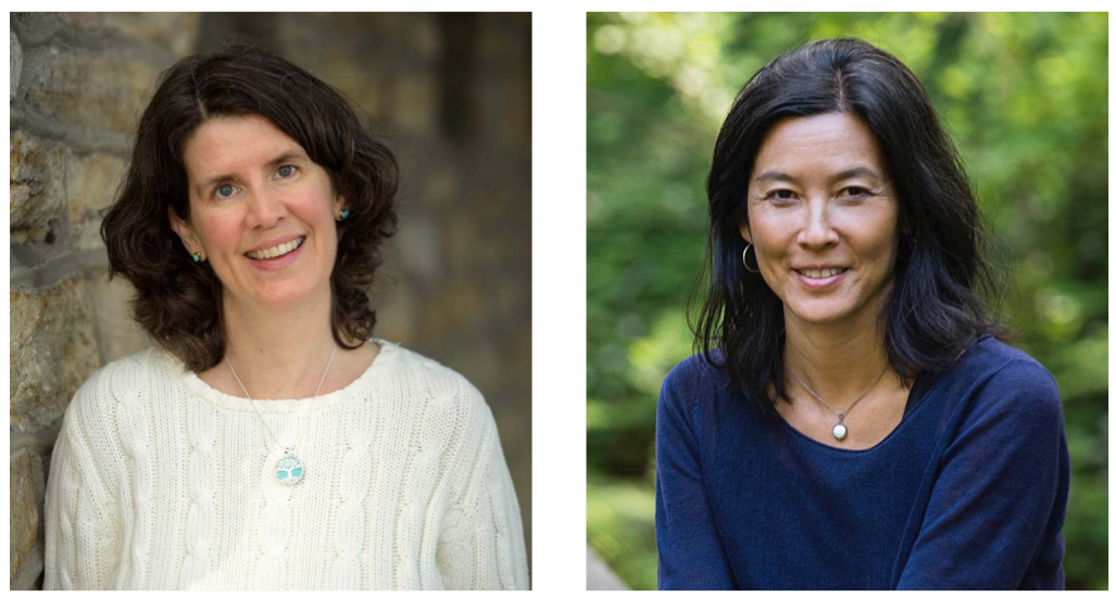 Episode 129: Resilience with Dr. Cynthia Li - Phoenix Helix