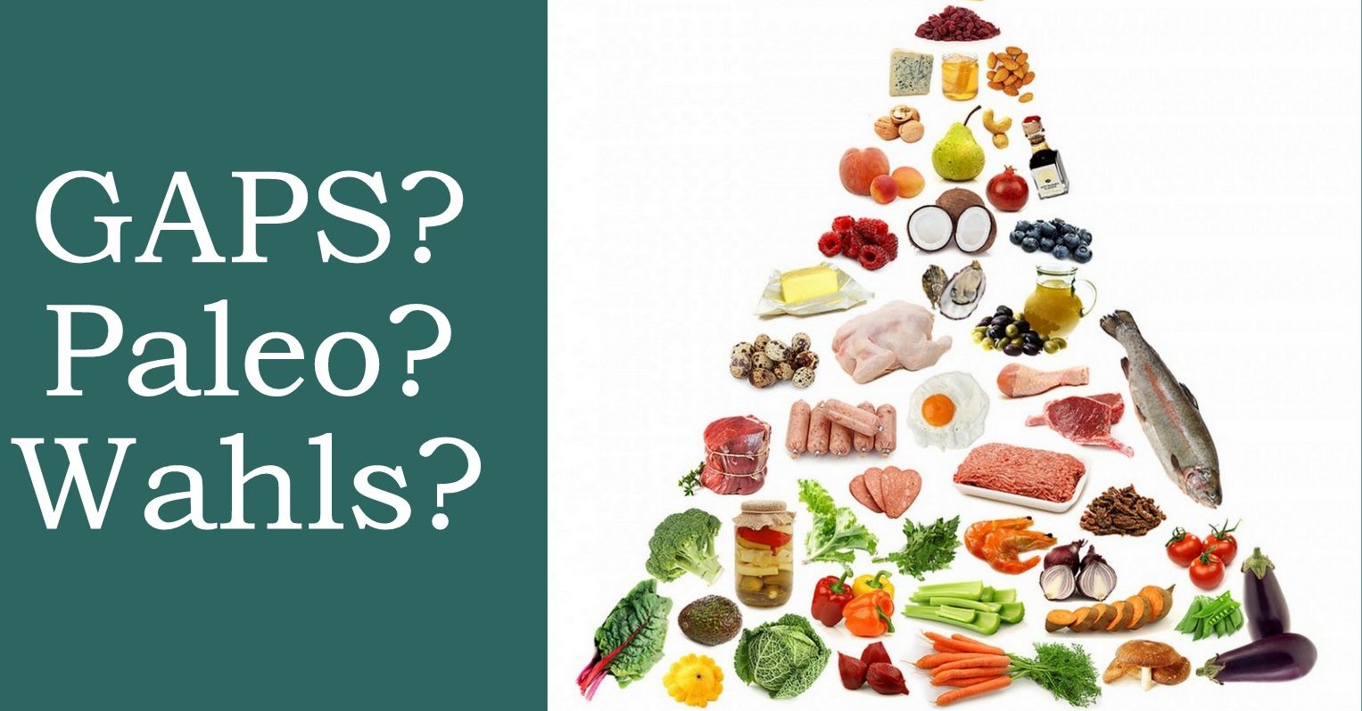 Comparison of 3 Healing Diets - Phoenix Helix