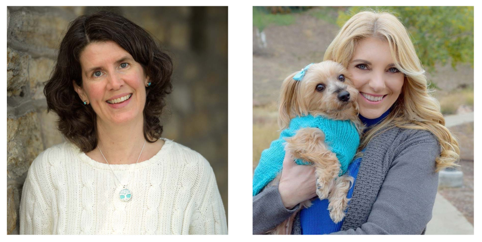 Episode 148: Self-Soothing vs. Self-Care with Dr. Lili Wagner - Phoenix ...