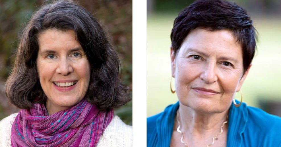 Episode 161: Perfectionism with Dr. Judy Tsafrir - Phoenix Helix